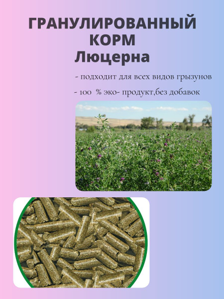 Корм (люцерна в гранулах)- 1,5 кг, 6 кг,18кг - купить с доставкой по ...