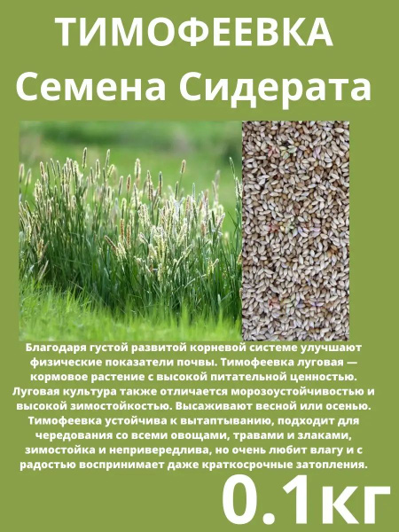 Тимофеевка луговая 100 грамм - купить по выгодным ценам в интернет ...