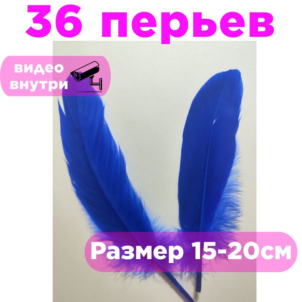 Перья гусиные натуральные 15-20 см 36 шт. Перо натуральное гусиное ...