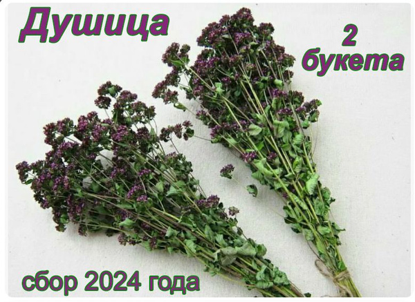 Душица. Травяной букет - купить с доставкой по выгодным ценам в ...