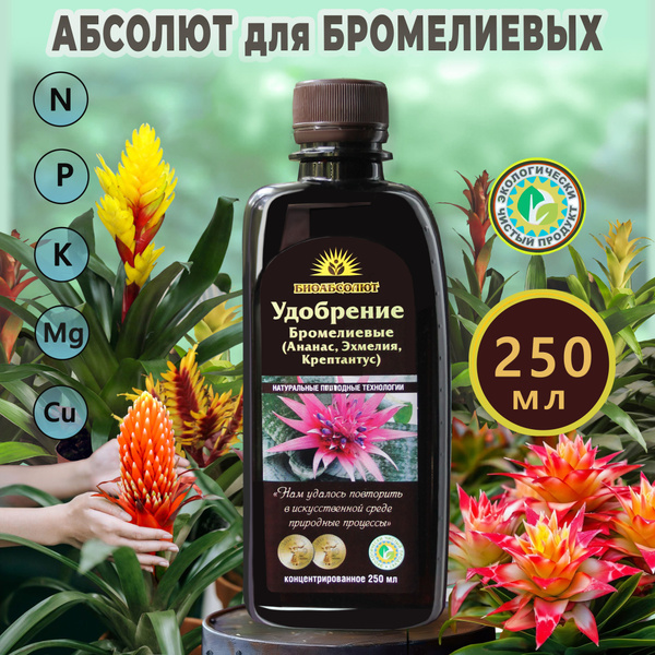 Удобрение для БРОМЕЛИЕВЫХ Абсолют, 250 мл - купить с доставкой по ...