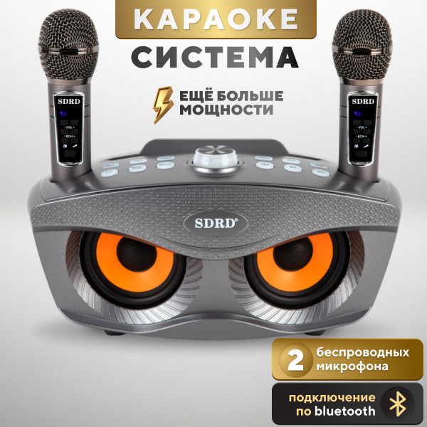 Караоке система беспроводная с двумя микрофонами SDRD SD-306 Plus Серый ...