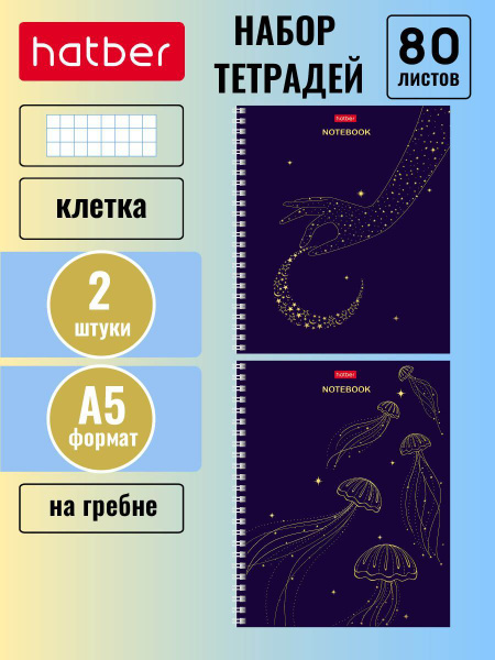 Набор тетрадей Hatber 80 листов, формата А5, в клетку, на гребне, 2 штуки/2 дизайна -Золотая ...