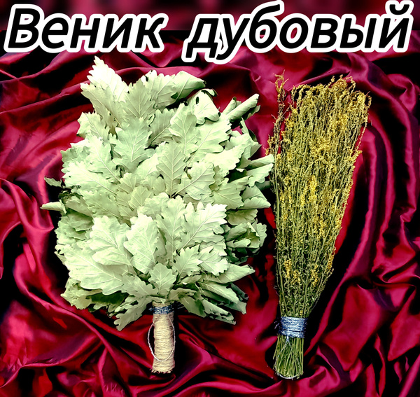 Веник для бани дубовый ПРЕМИУМ,Донник. купить на OZON по низкой цене ...