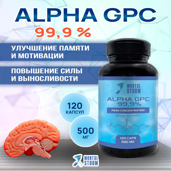 Mental Storm Альфа-ГФХ, премиум Alpha-GPC 99,9% 120к 500мг купить на OZON по низкой цене ...