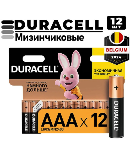 Duracell Батарейка AAA, L (щелочной) тип, 1,6 В, 12 шт купить на OZON по низкой цене (1821897738)