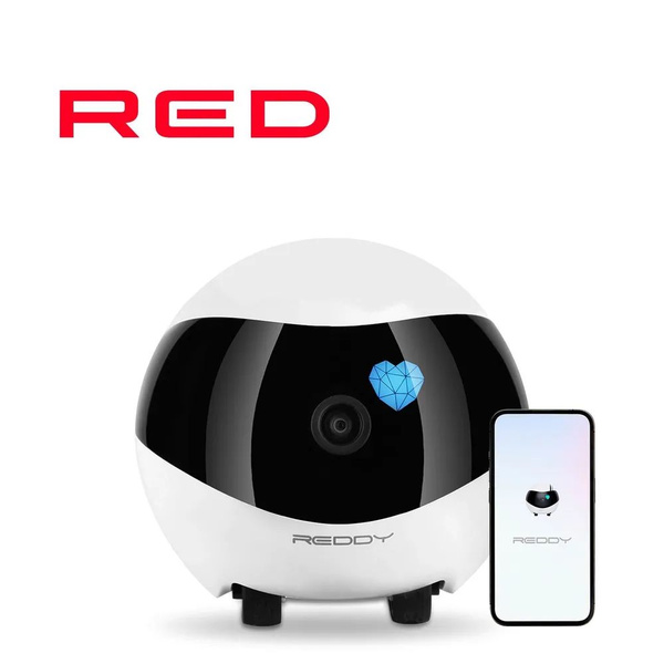 Робот-друг REDDY SE купить на OZON по низкой цене (1859129740)