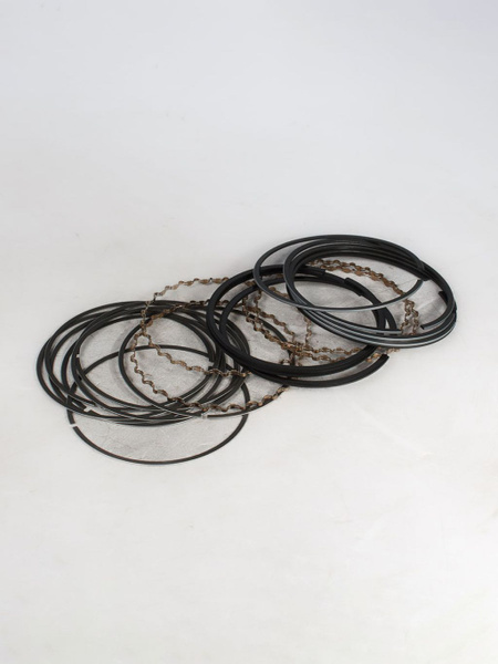 Кольца поршневые +0.25 General Motors 93740226 купить на OZON по низкой ...