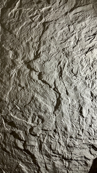 Стеновые панели / горный массив. 4 штуки белого цвета под покраску, размером 1190*590*10мм ...