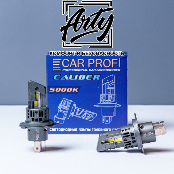 Лампа автомобильная OPTI PRO 12 В, 2 шт. купить c доставкой на OZON по ...