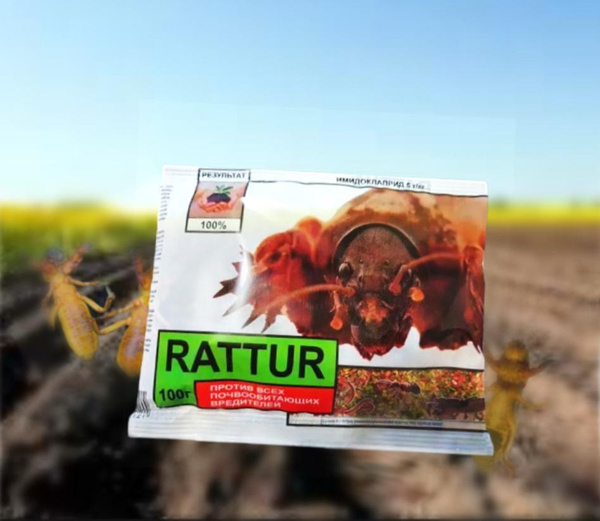 RATTUR Ловушка для садовых вредителей купить на OZON по низкой цене ...