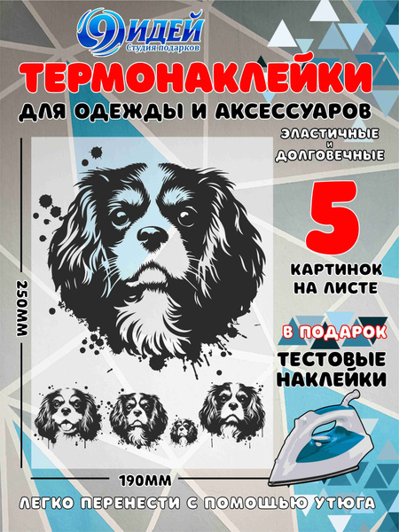 Термонаклейка для одежды и текстиля/ DTF наклейка для одежды/19x25_Кавалер-кинг-чарльз-спаниель ...