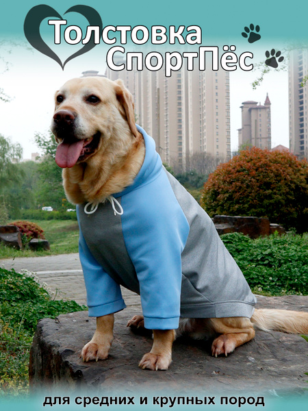 Толстовка Rexy crew "СпортПёс", одежда для собак средних и крупных пород, цвет серо-голубой ...