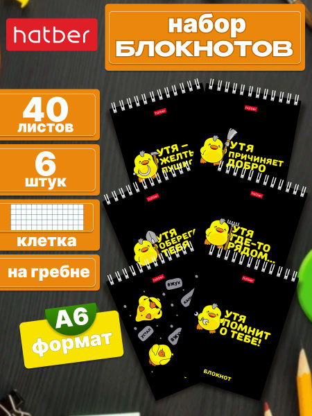 Набор блокнотов Hatber 40 листов, формата А6, в клетку, на гребне, ультрафиолетовый лак, 6 штук ...