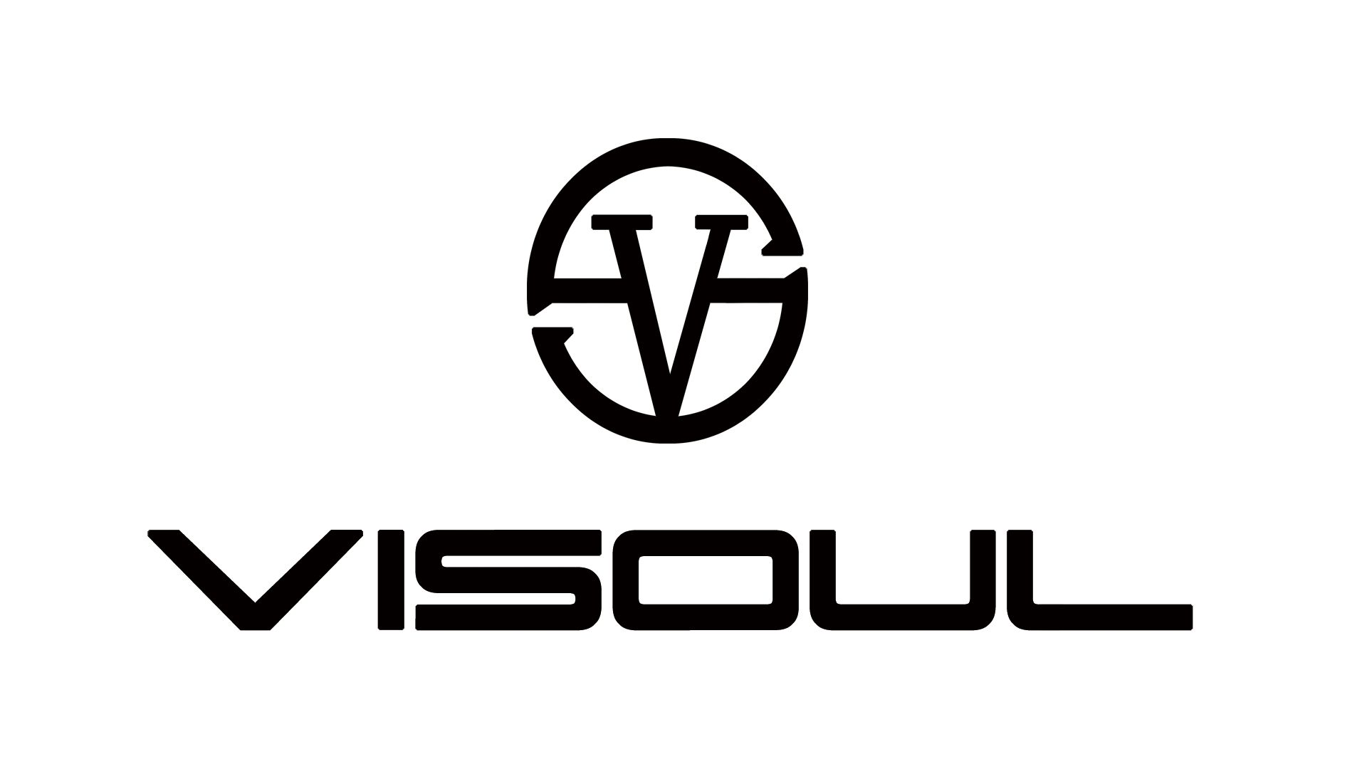 VISOUL — купить товары VISOUL в интернет-магазине OZON