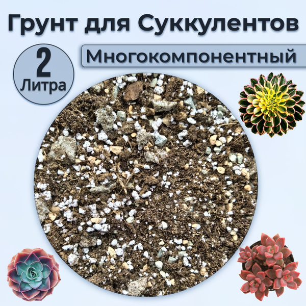 Грунт для кактусов и суккулентов, 2 литра - купить по низкой цене в ...
