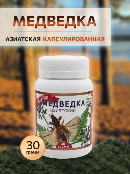 Медведка азиатская купить на OZON по низкой цене (825785442)
