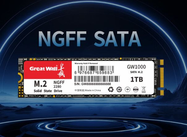 1 ТБ Внутренний SSD-диск Great Wall GW1000 SSD (GW1000 SSD 1TB ...