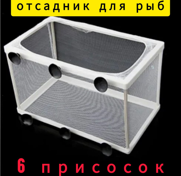 Отсадник для мальков и рыб - купить с доставкой по выгодным ценам в ...
