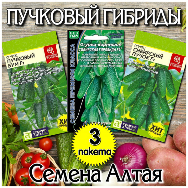 Огурцы Семена Алтая огурцы - купить по выгодным ценам в интернет ...