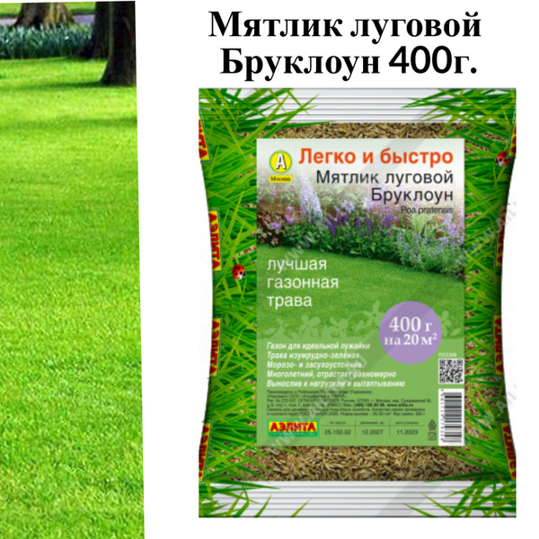 Газонные травы Аэлита мавританский_мятлик_1_Мятлик луговой Бруклоун ...