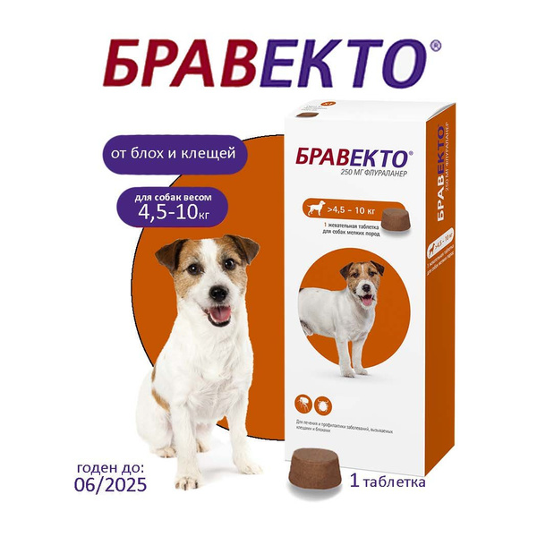 Бравекто (Bravecto) 4.5-10 кг,таблетка 250 мг (09.2025) - купить с ...