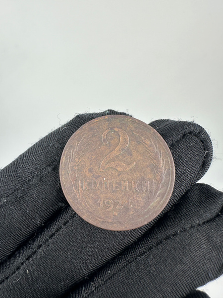 Монета 2 копейки 1924 год Гладкий Гурт! СССР - купить в интернет-магазине OZON с быстрой ...
