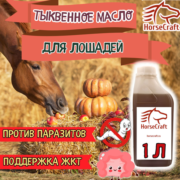Кормовое тыквенное масло для лошадей 1 литр - купить с доставкой по ...