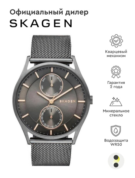Мужские наручные часы Skagen Steel SKW6180 - купить с доставкой по ...