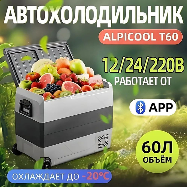 Автомобильный холодильник Alpicool T60 (12В/24В/220В) 60 литров ...