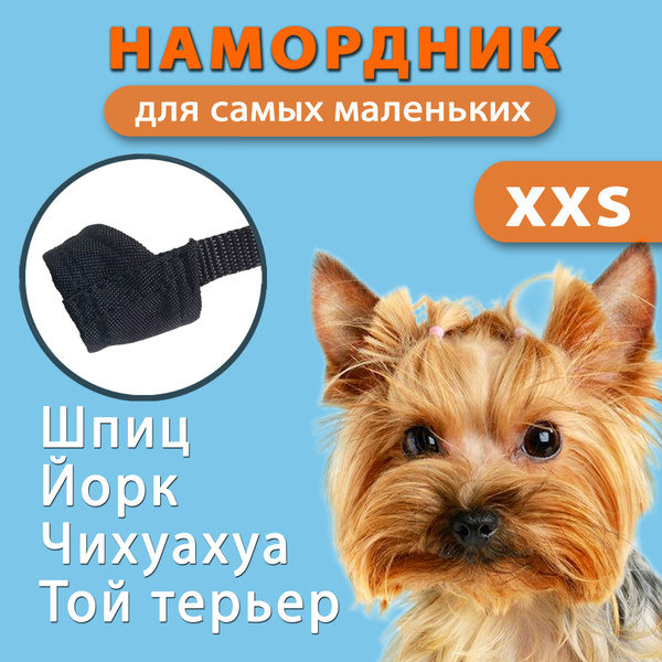 Намордник для собак мелких пород мягкий тканевый 0 XXS - купить с ...