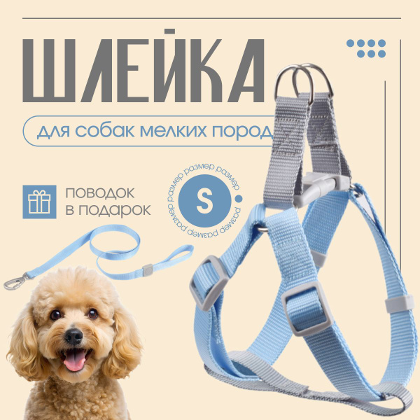 Шлейка для собак мелких пород и кошек Клёпа & Co, голубая, размер S ...