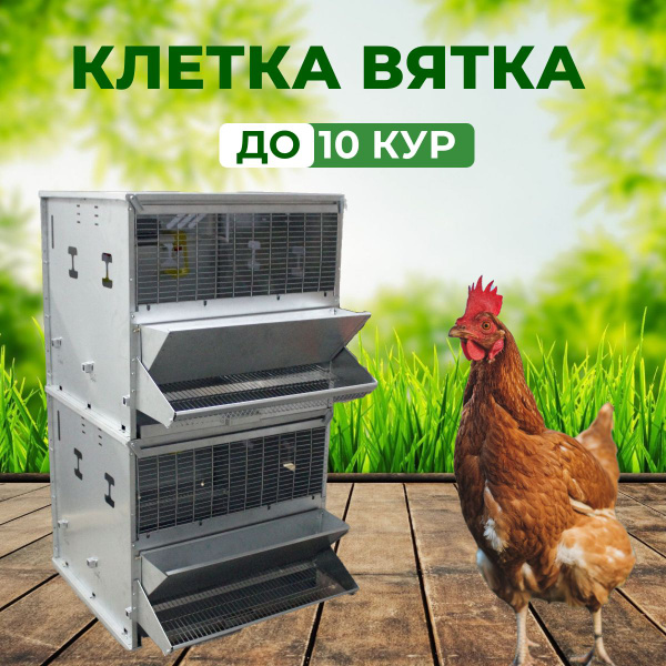 Клетка для кур-несушек до 10 голов Вятка Стандарт - купить с доставкой ...