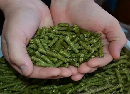 Люцерна гранулированная 20кг - купить с доставкой по выгодным ценам в ...