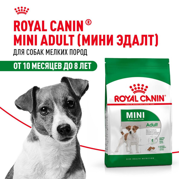 ROYAL CANIN MINI ADULT 2 кг корм для собак мелких пород с 10 месяцев до ...