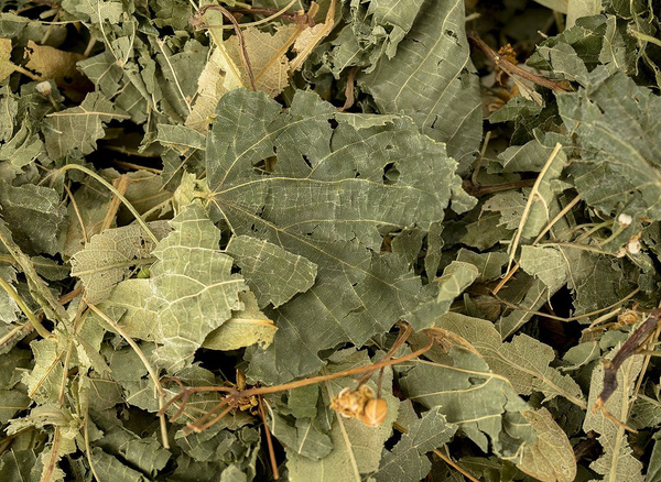 Липа сушеная для чая (соцветия, травы для чая), 200 г - купить с ...