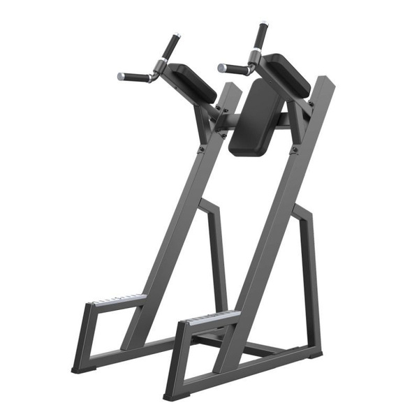 Брусья, пресс 2 в 1 DHZ Fitness - купить по выгодной цене в интернет ...