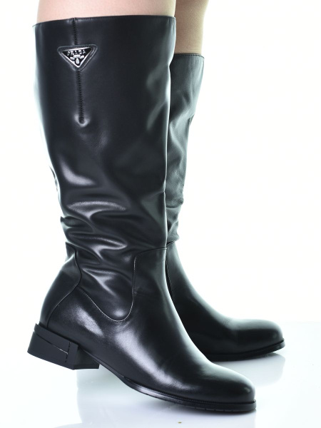 Сапоги Ascalini купить на OZON по низкой цене (1680154170)