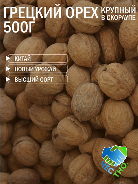 Орех Грецкий неочищенный - купить с доставкой по выгодным ценам в ...