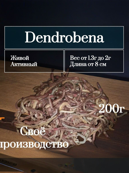 Живые черви для рыбалки Дендробена (Dendrobaena) (Размер M) 200г купить ...