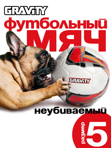 Футбольный мяч Gravity TF-20, 5 размер, белый, черный купить c доставкой на OZON по низкой цене ...