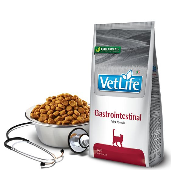 Диетический сухой корм для кошек при нарушении пищеварения Vet Life Cat ...