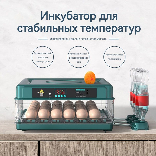 30 инкубатор для яиц автоматический,220В/12В - купить с доставкой по ...