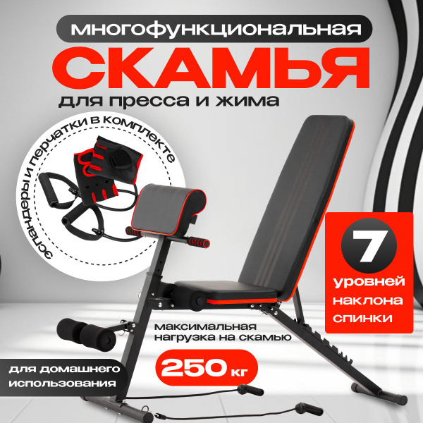 Скамья для жима и пресса спортивная складная FS-1216 купить на OZON по ...