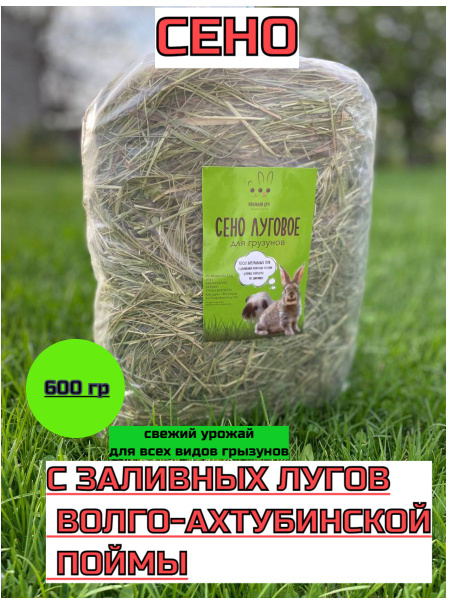 Сено для грызунов луговое, отборное - купить с доставкой по выгодным ...