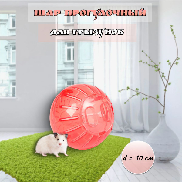 Шар прогулочный для грызунов 10 см, красный - купить с доставкой по ...