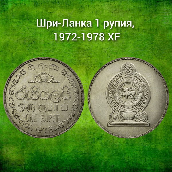 Шри-Ланка 1 рупия, 1972-1978 XF - купить в интернет-магазине OZON с быстрой доставкой (1589342745)