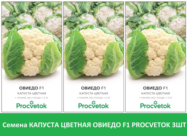 Капуста Procvetok Капусты цветной Овиедо F1_3 - купить по выгодным ценам в интернет-магазине ...