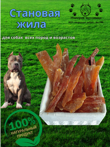 Становая жила - купить с доставкой по выгодным ценам в интернет ...