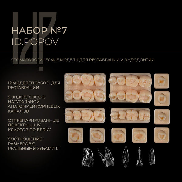 Набор №7 стоматологические модели для реставрации и эндодонтии - купить ...